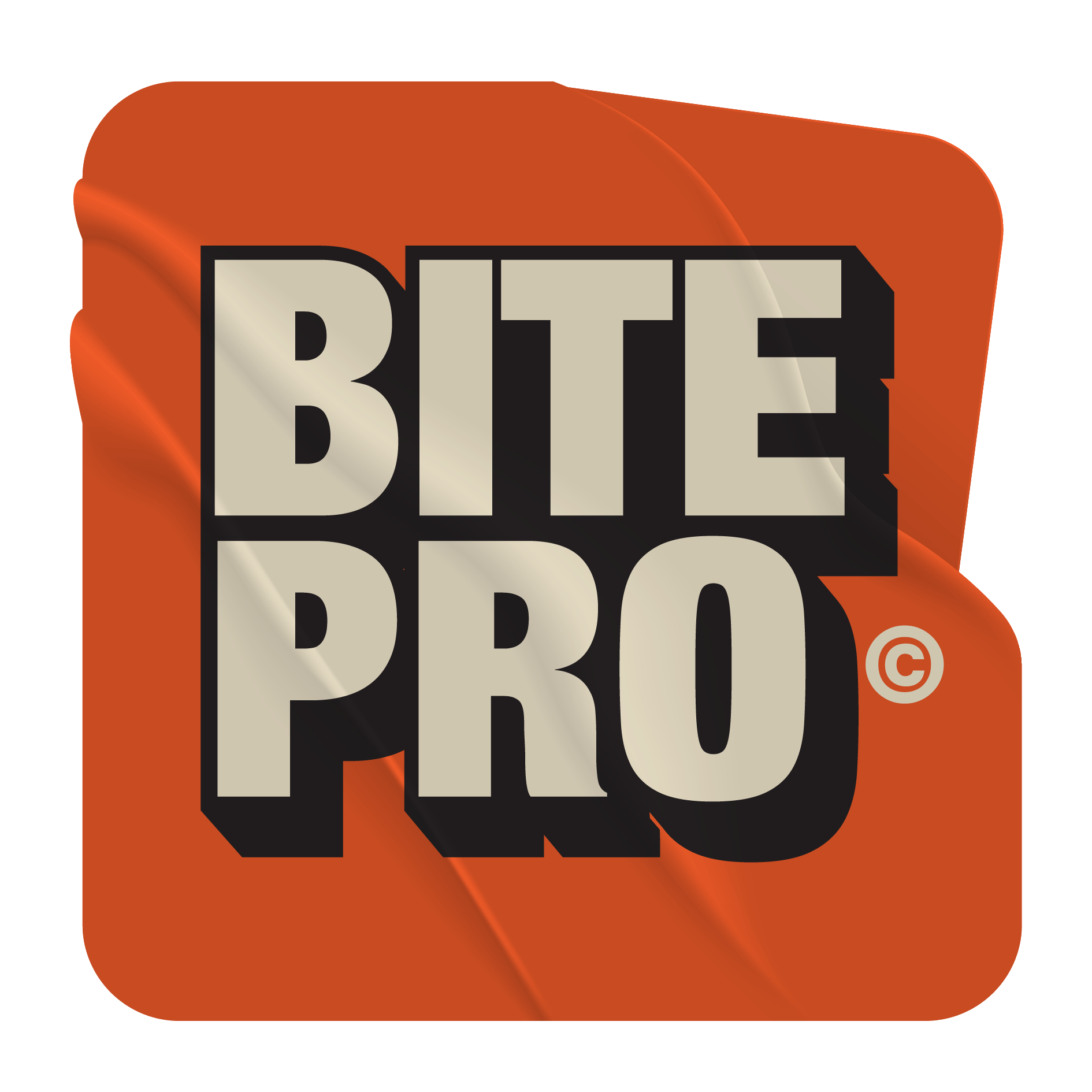 Services - Bite Production